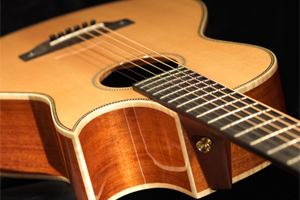 Terry pack handmade acoustic guitar played by James Bartholomew DBS SJRS